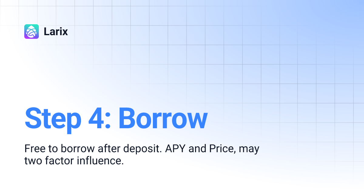 Step 4: Borrow | Larix